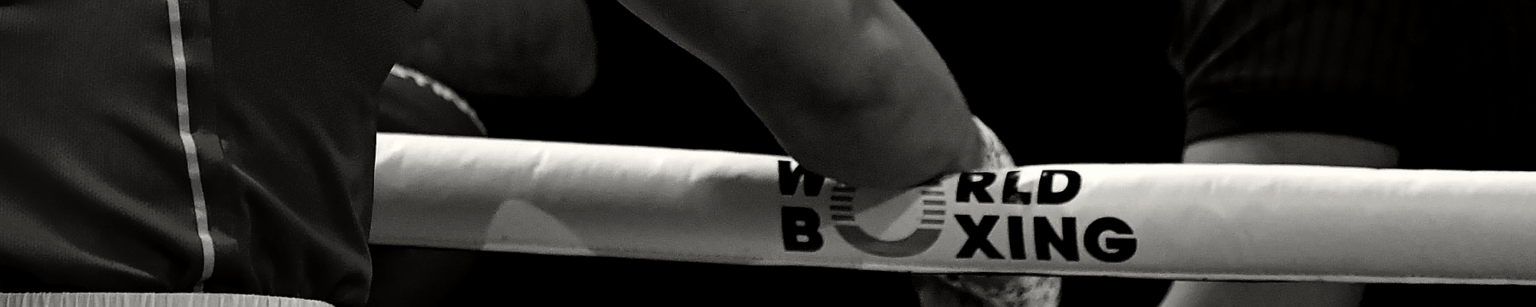 World Boxing to hold Extraordinary Congress on 1 March 2025 to approve ...
