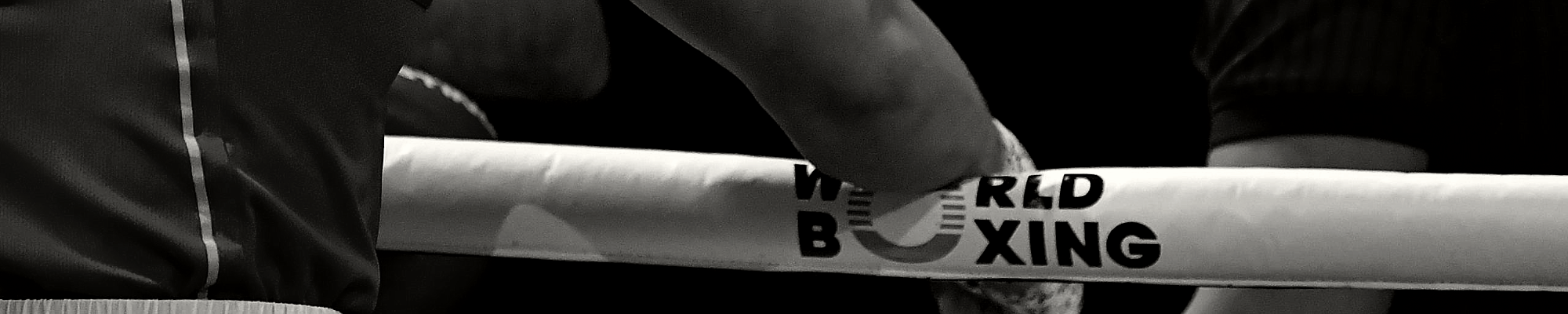 World Boxing to hold Extraordinary Congress on 1 March 2025 to approve ...